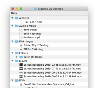 Folder Tidy - Quickly organize folders
